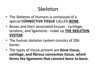General anatomy and physiology bones.pptx