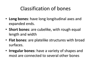 General anatomy and physiology bones.pptx