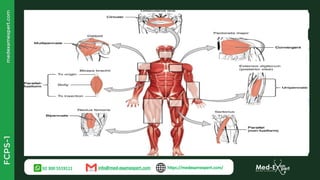 GENERAL ANATOMY of upper limb lower limb.pptx