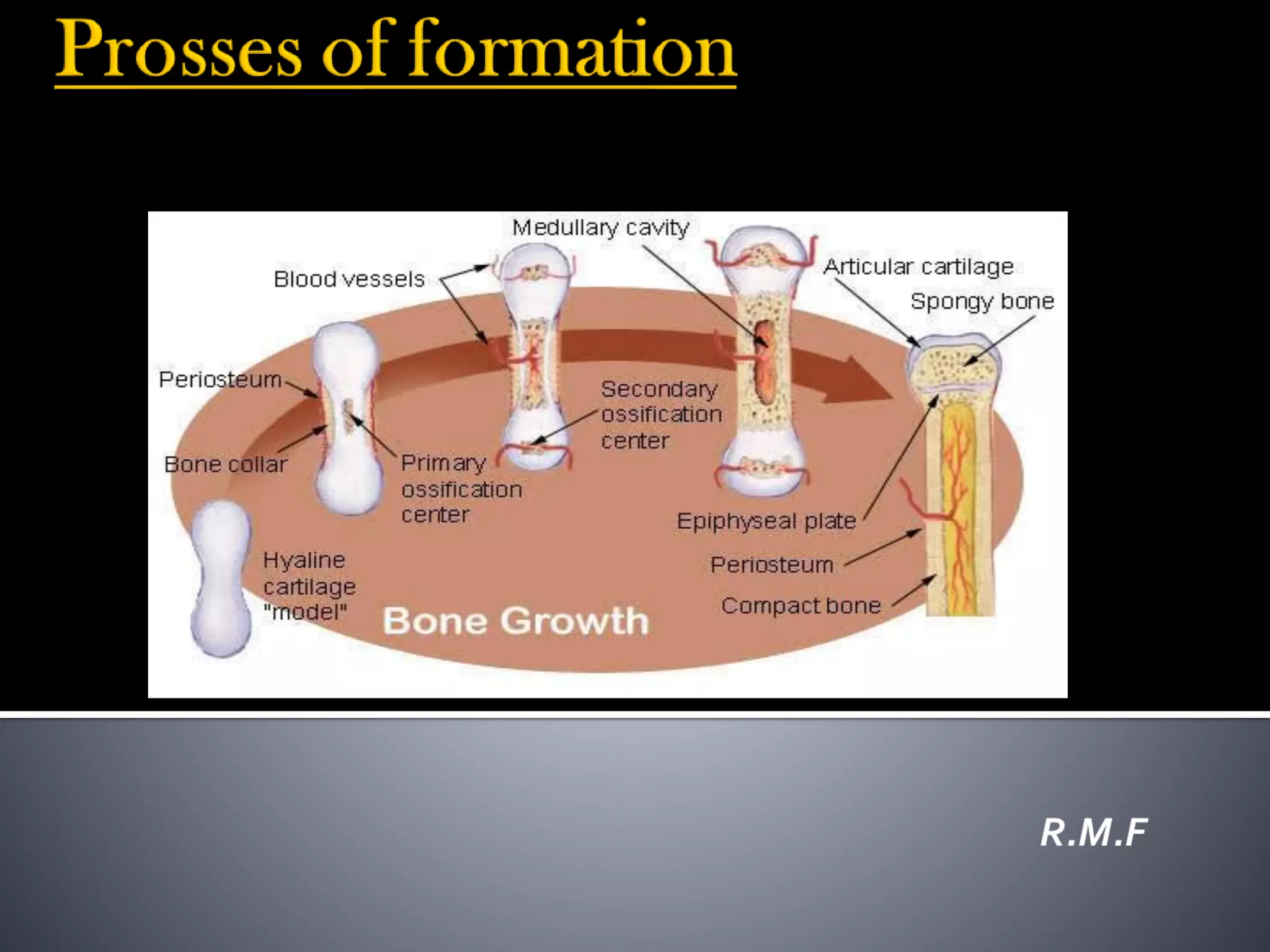 Osteogenesis and rules of ossification. FURQAN.pdf