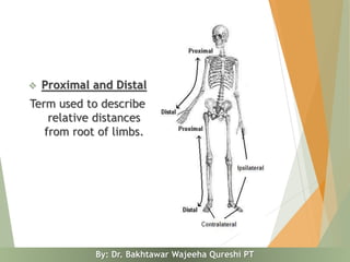 General Anatomy Lecture Part I | PDF