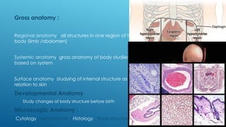 Lecture 1: General Anatomy of human body.pptx