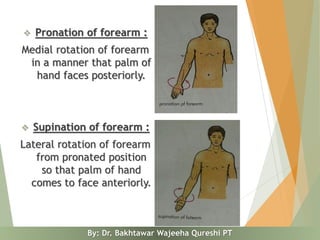 General Anatomy Lecture Part II | PDF
