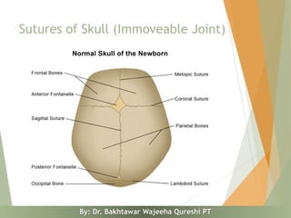 General Anatomy Lecture Part II | PDF