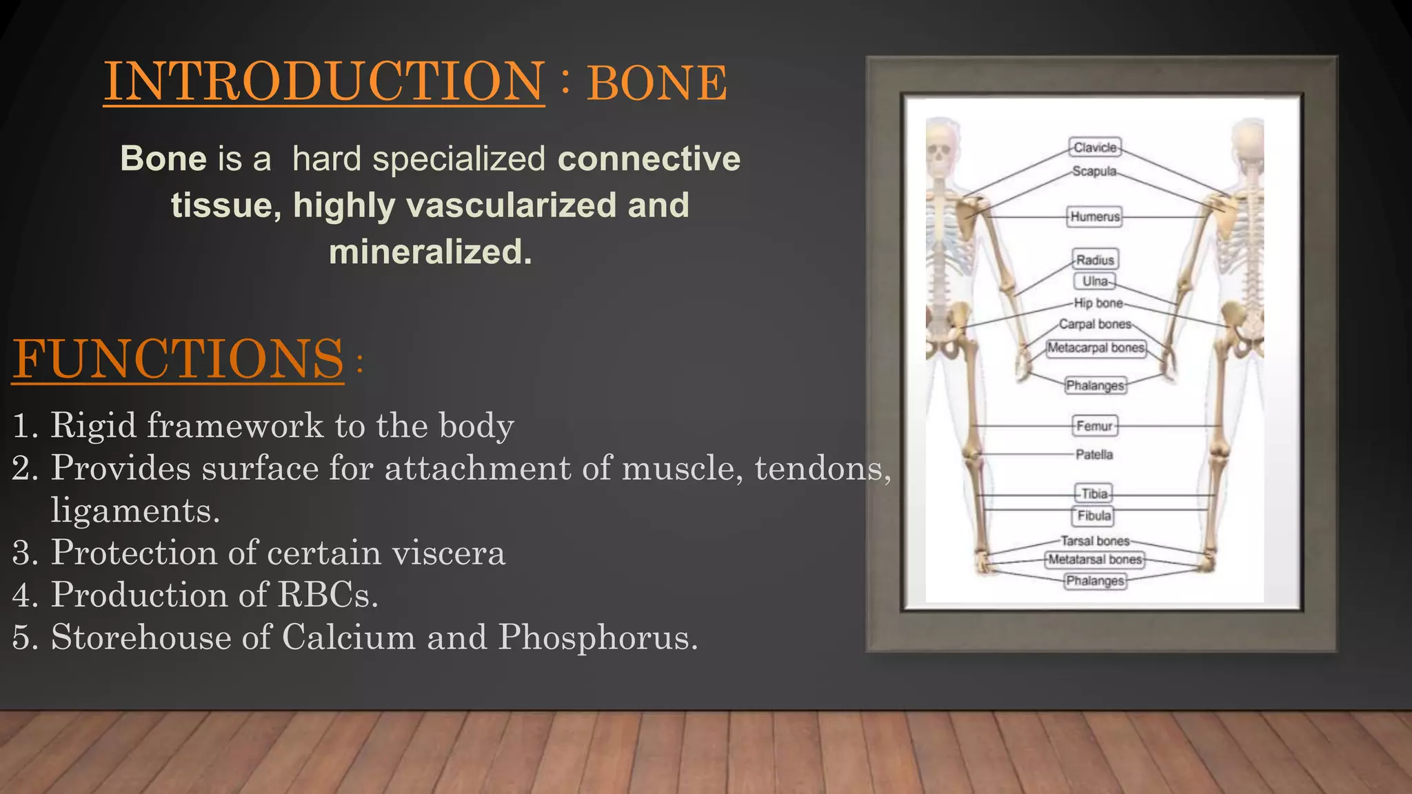 General anatomy of bone mbbs | PPTX