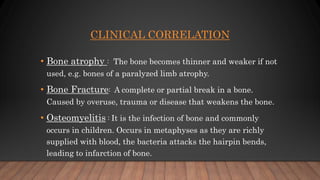 General anatomy of bone mbbs | PPTX
