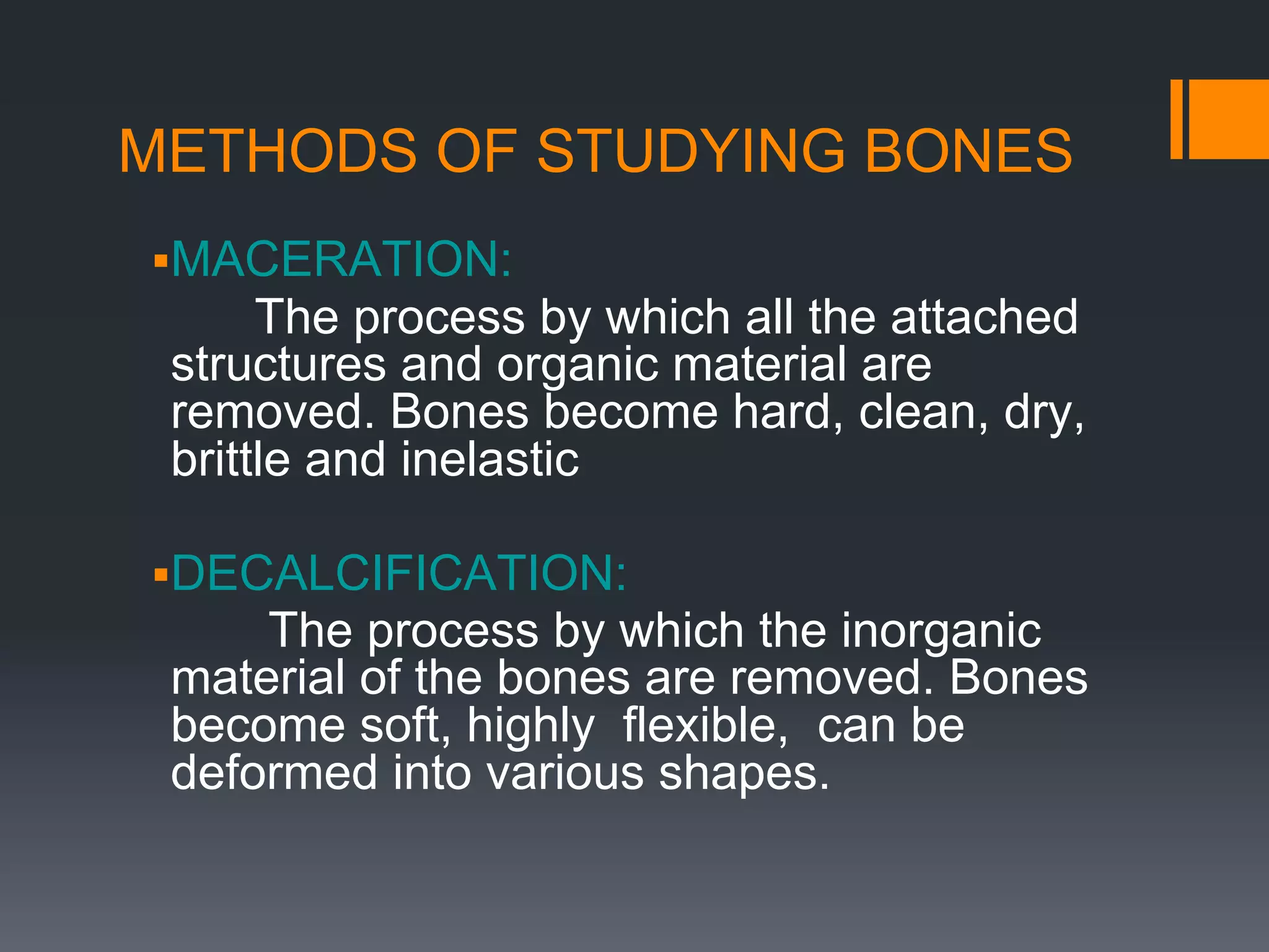 General Anatomy of Bones LT1.pdf | Bone and Joint Conditions | Diseases ...