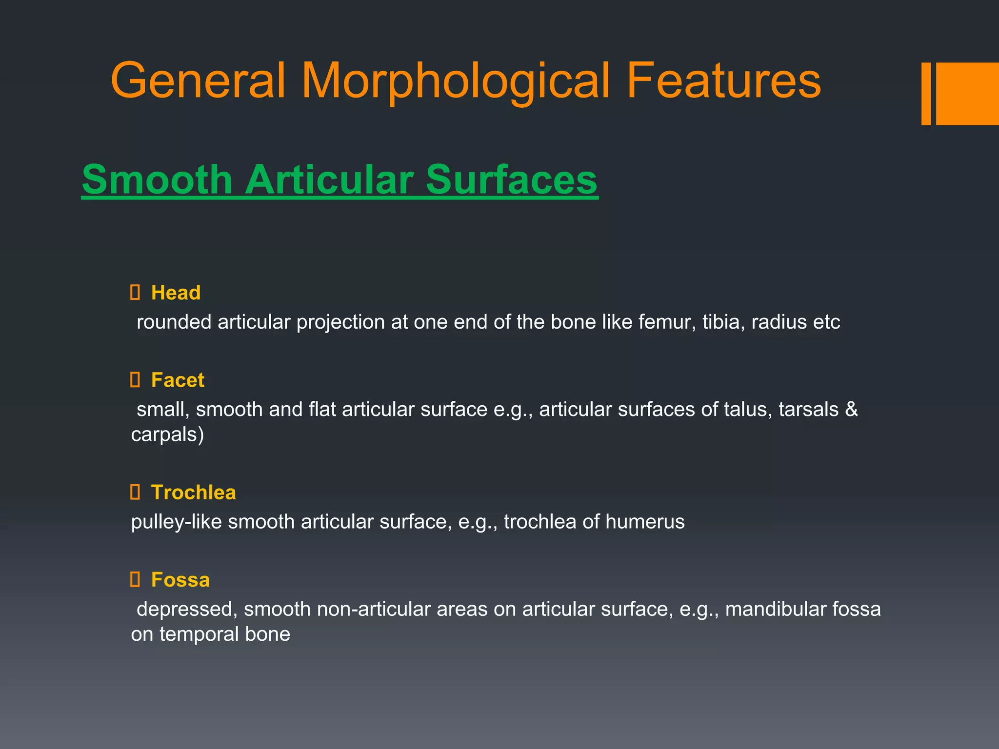 General Anatomy of Bones LT1.pdf | Bone and Joint Conditions | Diseases ...