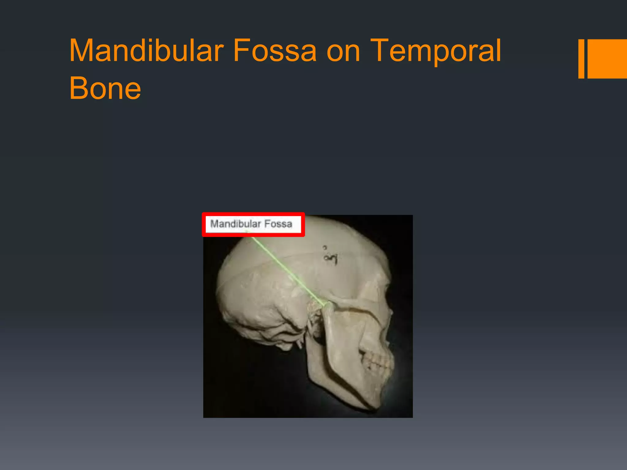 General Anatomy of Bones LT1.pdf | Bone and Joint Conditions | Diseases ...