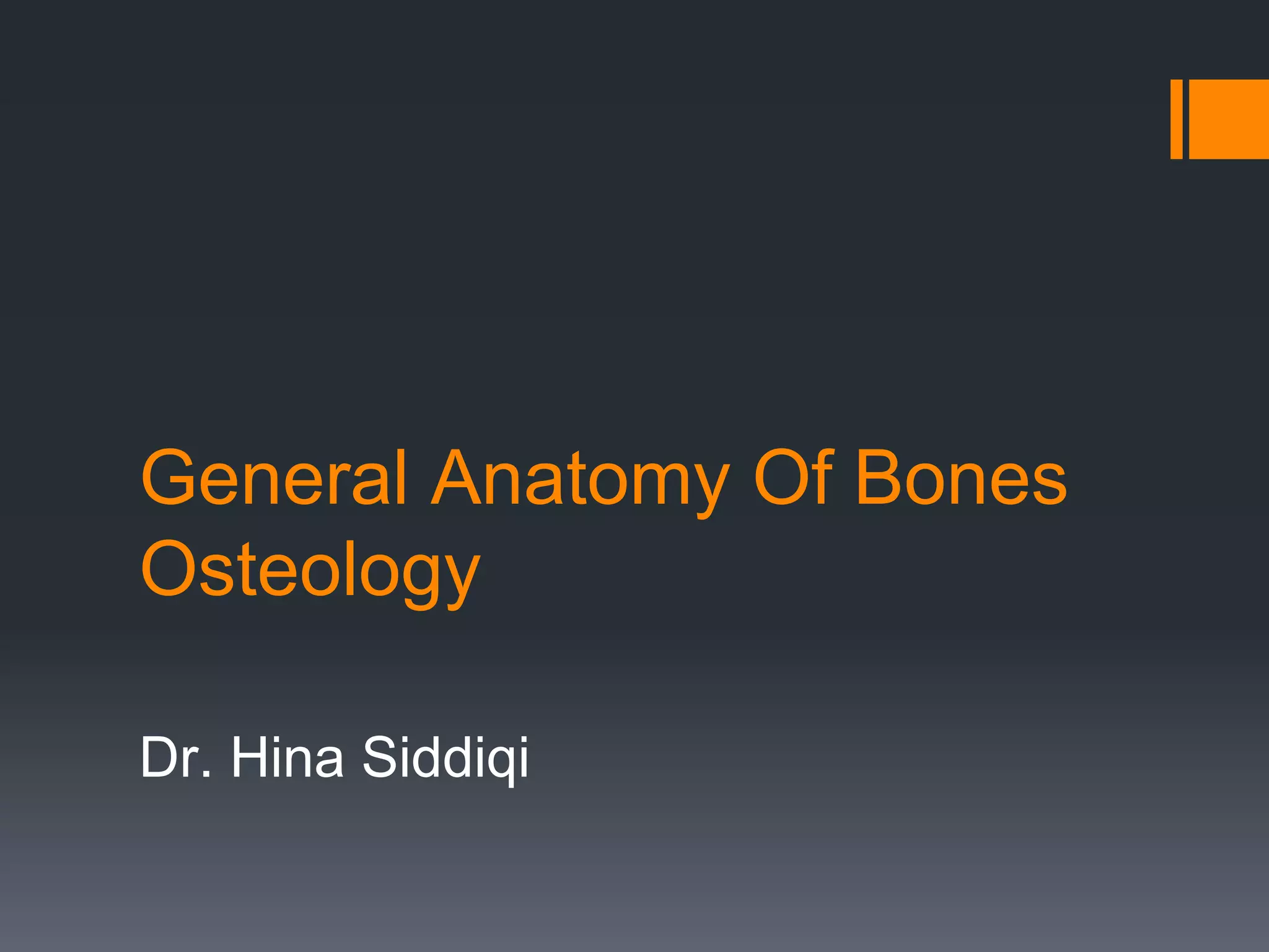 General Anatomy of Bones LT1.pdf | Bone and Joint Conditions | Diseases ...