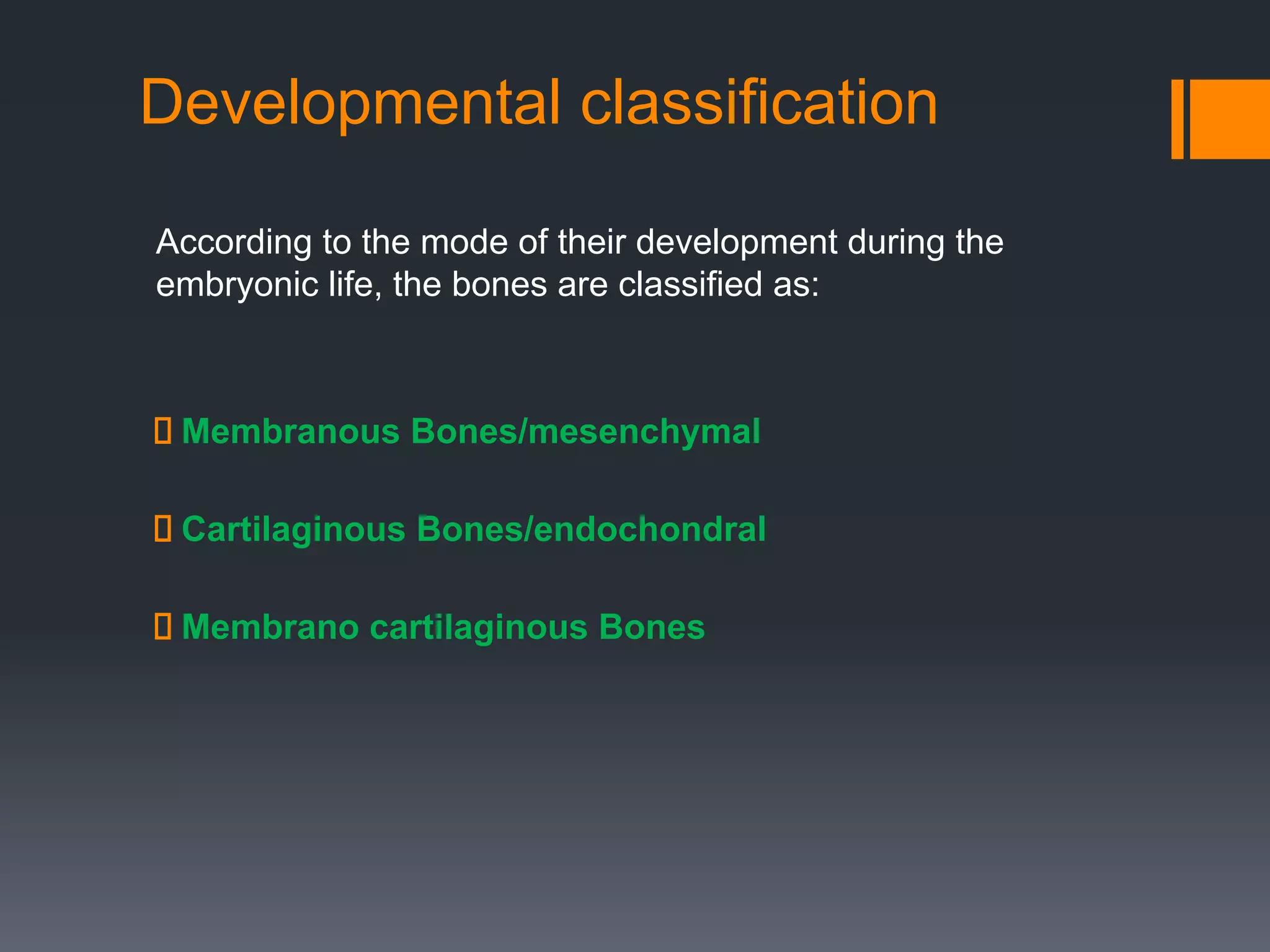 General Anatomy of Bones LT1.pdf | Bone and Joint Conditions | Diseases ...