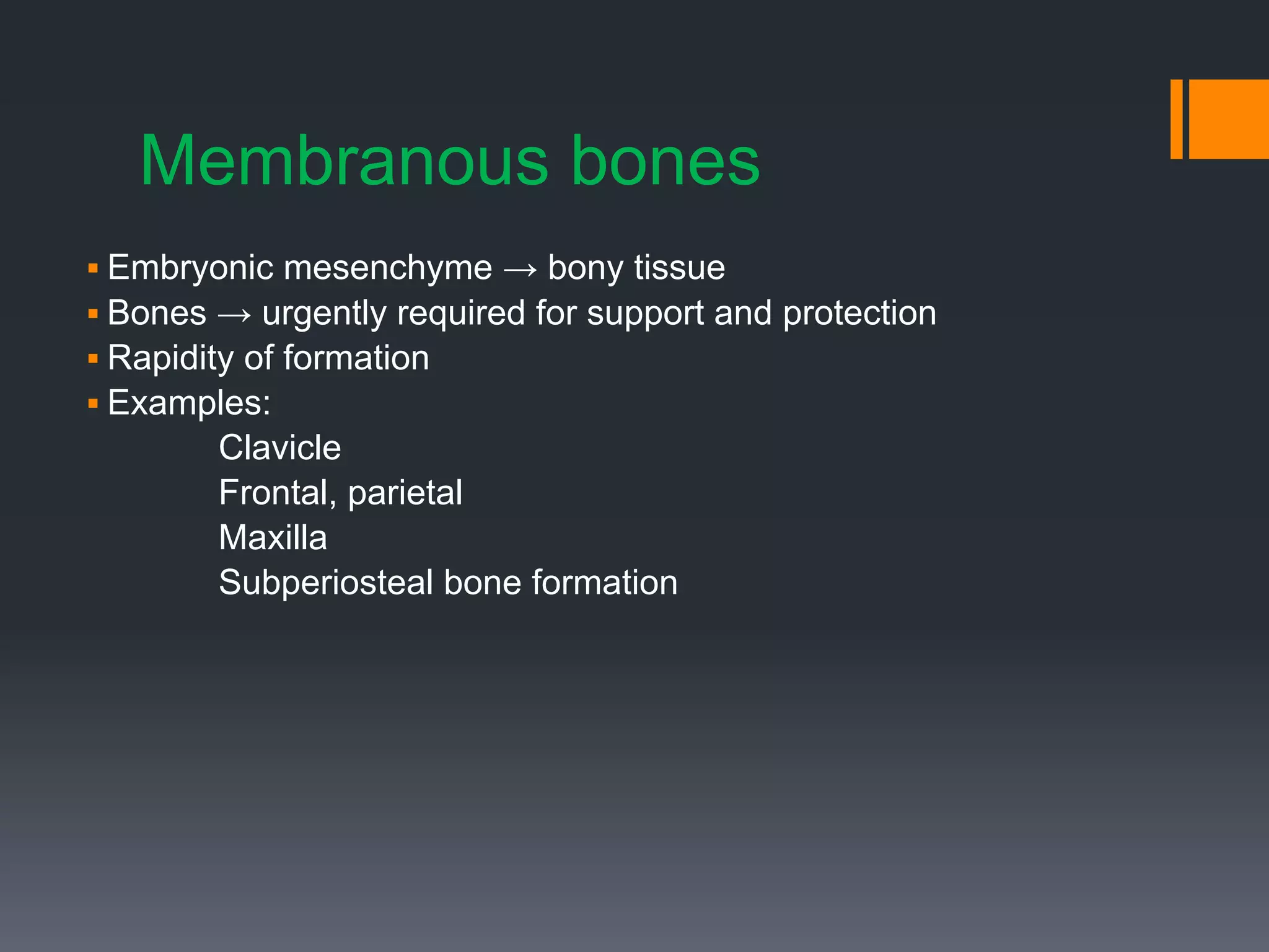 General Anatomy of Bones LT1.pdf | Bone and Joint Conditions | Diseases ...