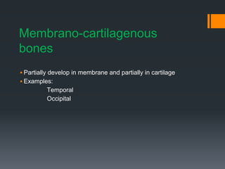 General Anatomy of Bones LT1.pdf