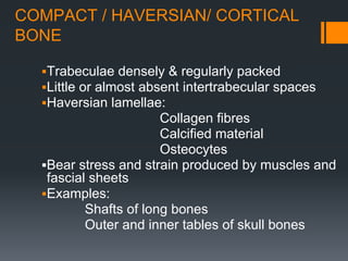 General Anatomy of Bones LT1.pdf