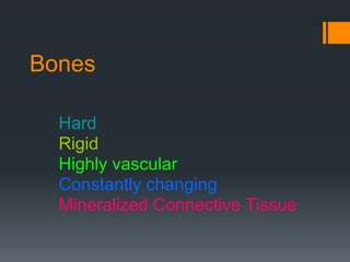 General Anatomy of Bones LT1.pdf