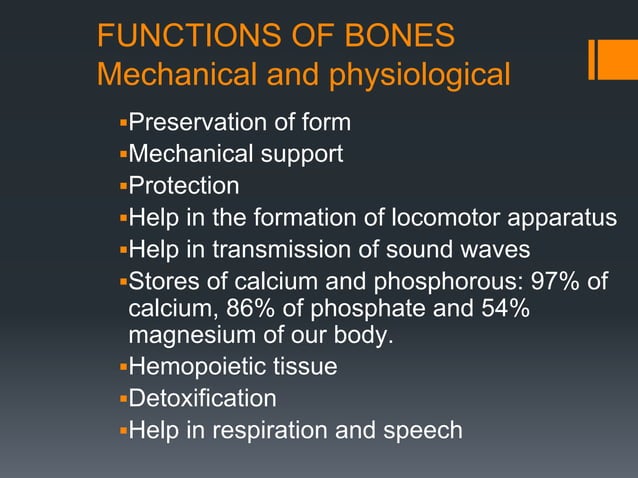 General Anatomy of Bones LT1.pdf