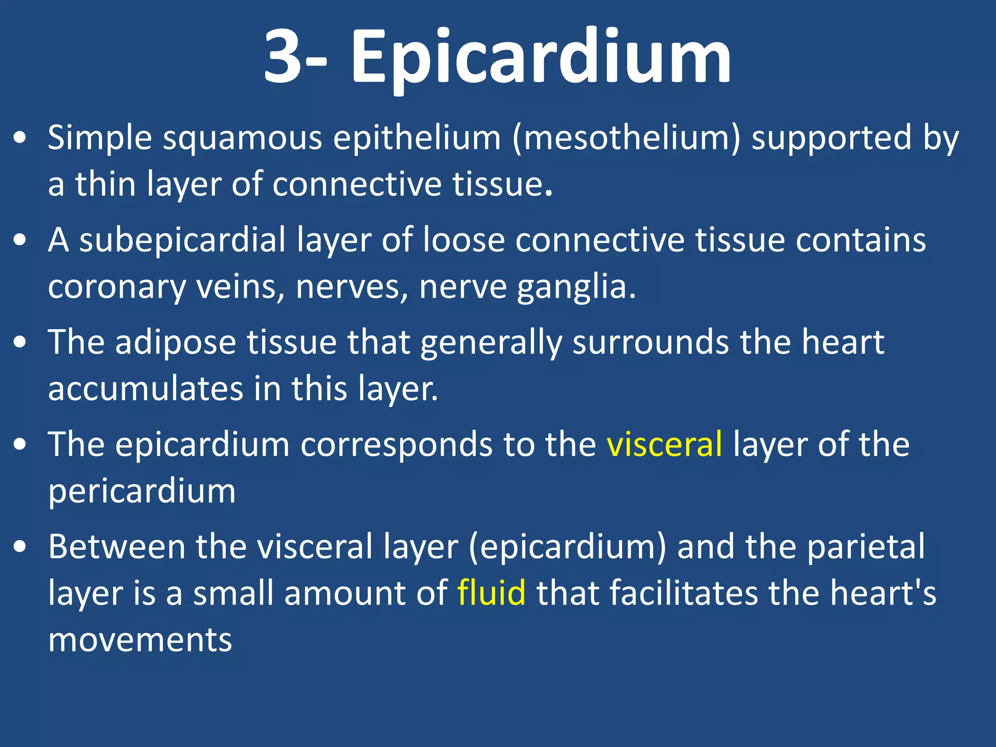 GENERAL ANATOMY OF CVS (1).pptx