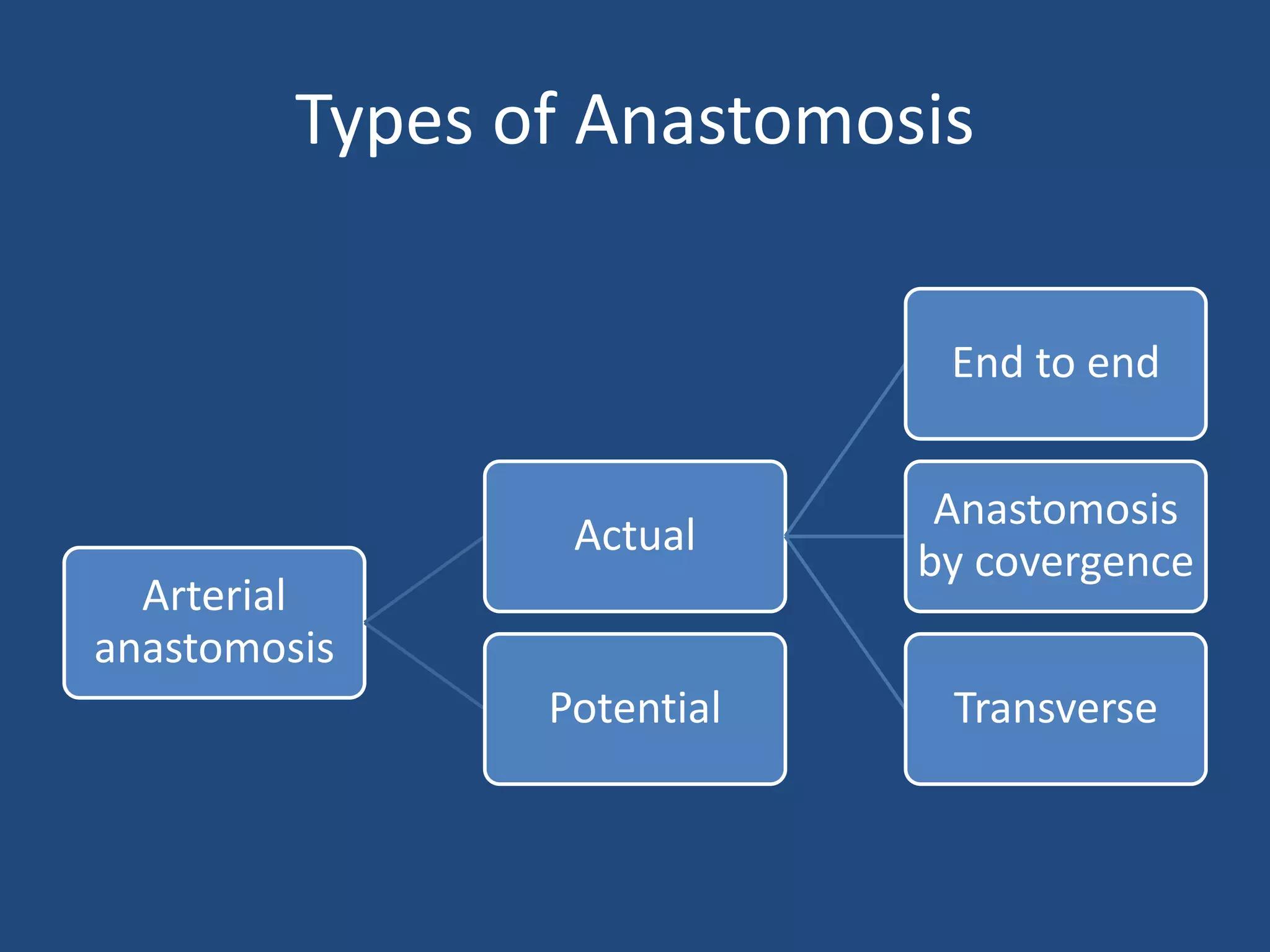 GENERAL ANATOMY OF CVS (1).pptx