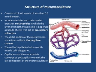 GENERAL ANATOMY OF CVS (1).pptx
