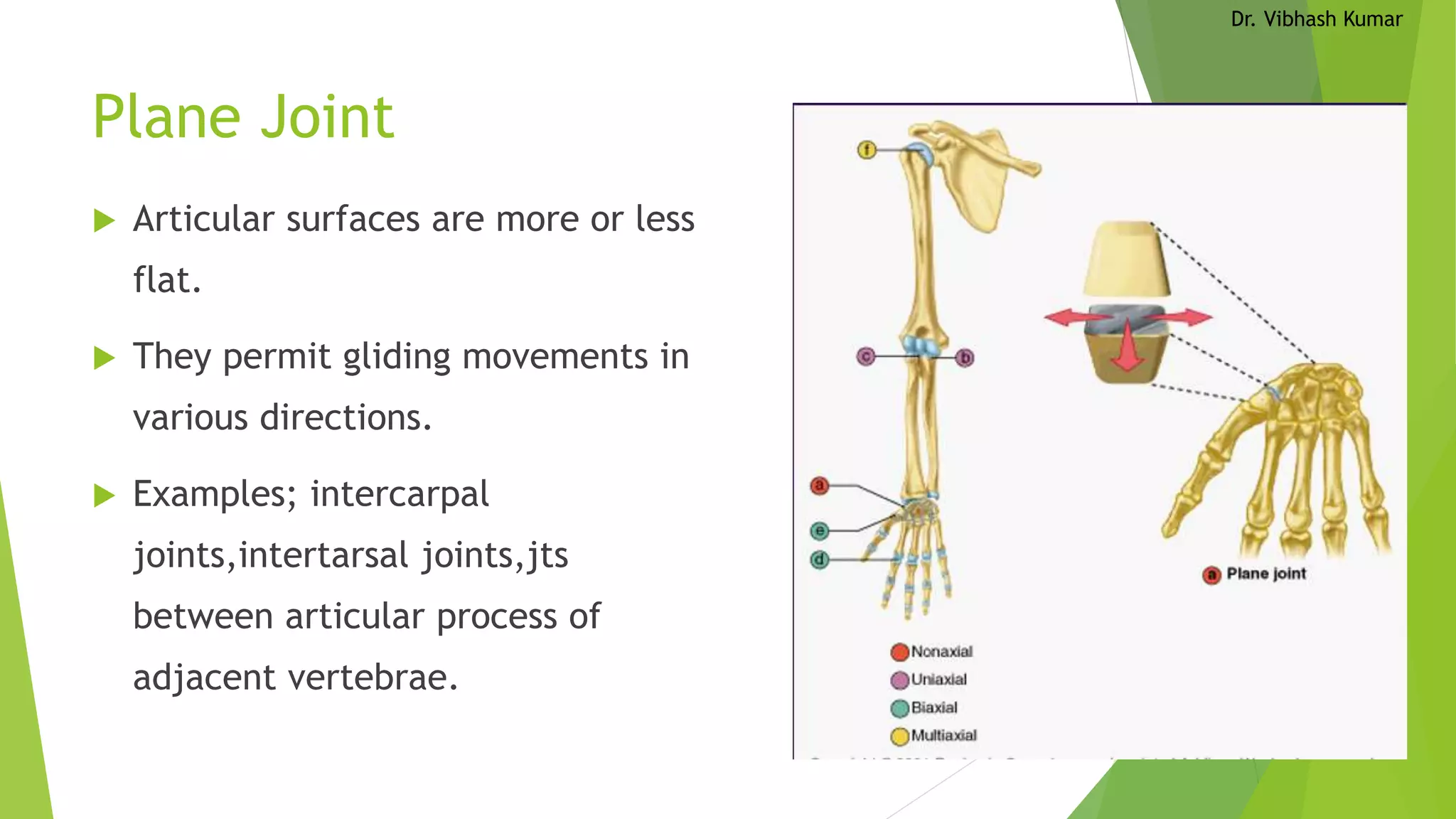 Anatomy of Joints & its classification | PPTX