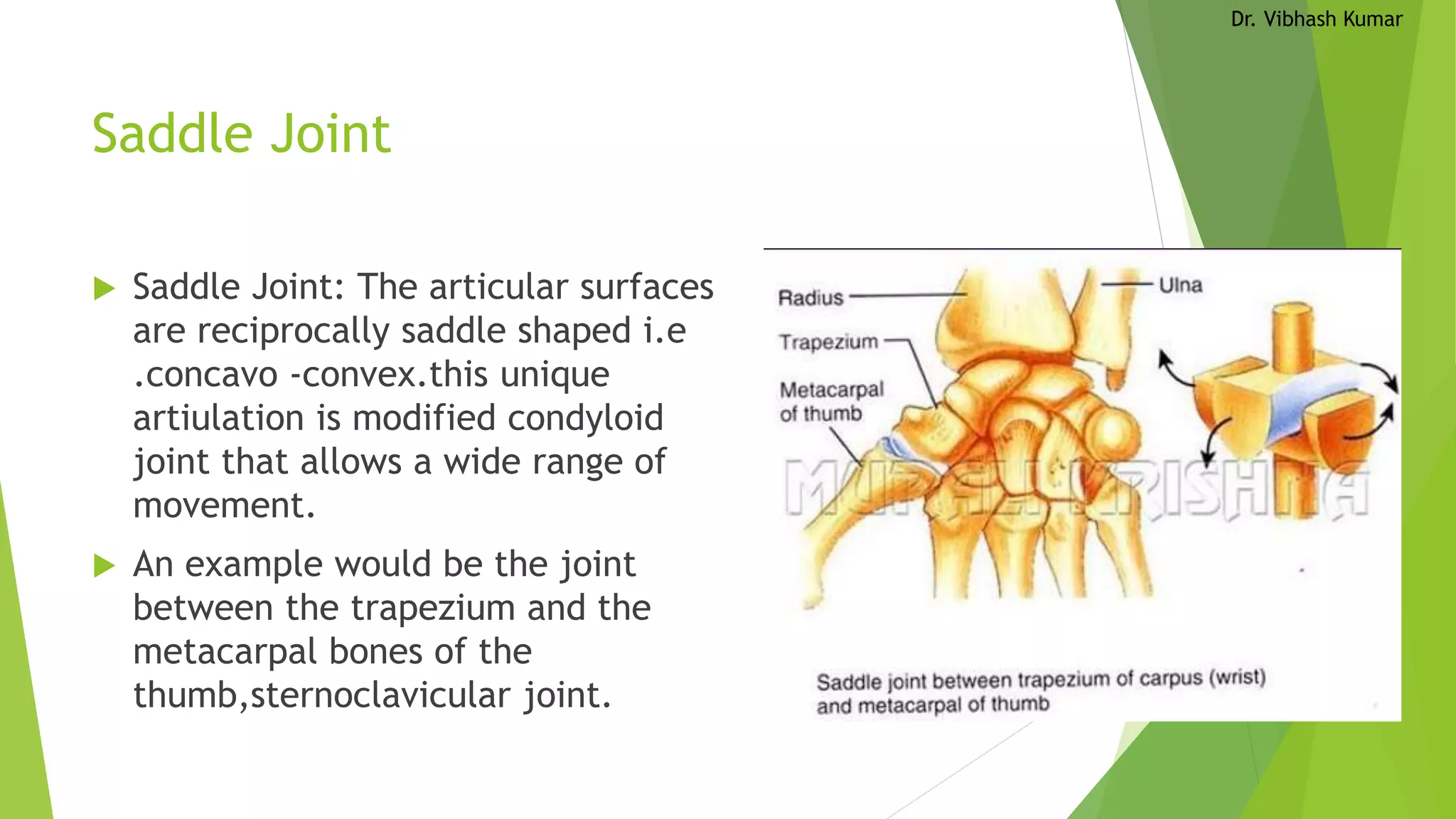Anatomy of Joints & its classification | PPTX