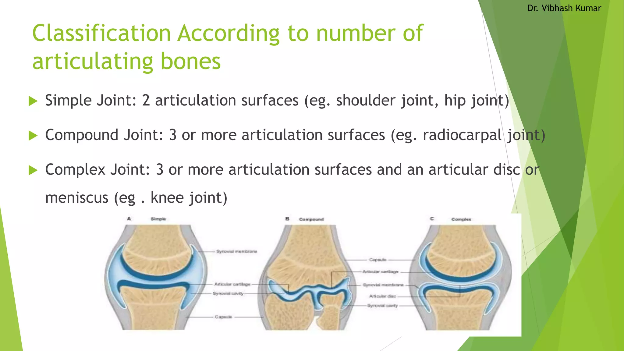 Anatomy of Joints & its classification | PPTX