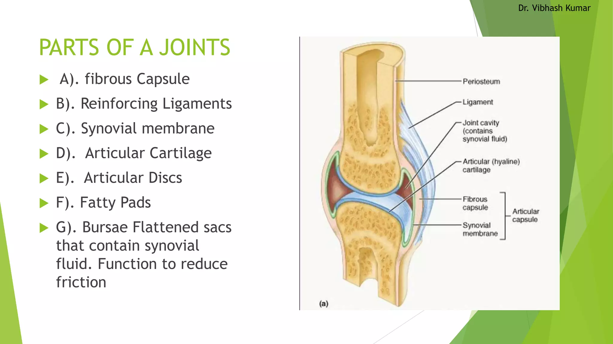 Anatomy of Joints & its classification | PPTX