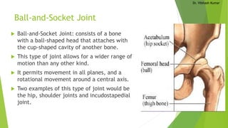 Anatomy of Joints & its classification | PPTX
