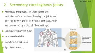 Types Of Cartilaginous Joints