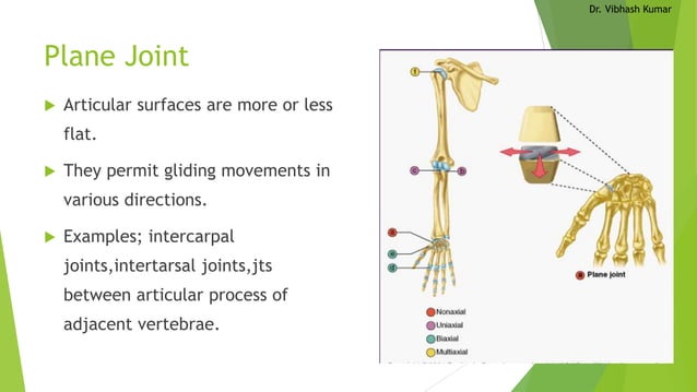 Anatomy of Joints & its classification | PPT