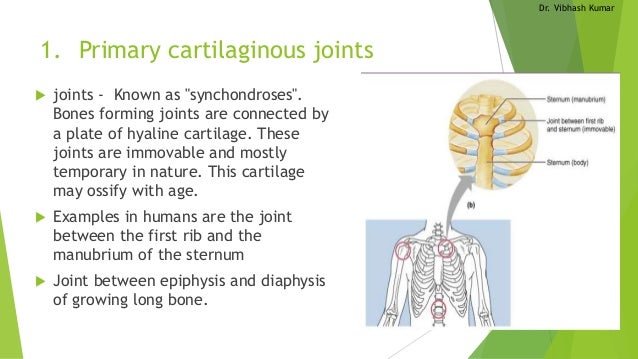 Gcse Biology Joints