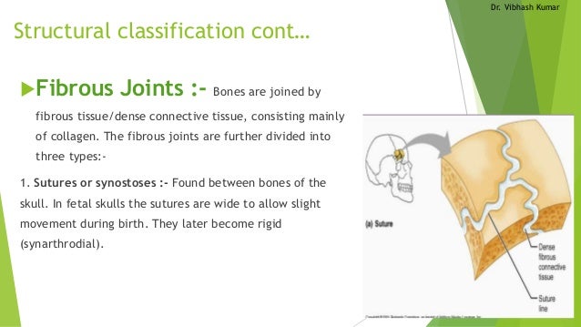 Anatomy of Joints & its classification