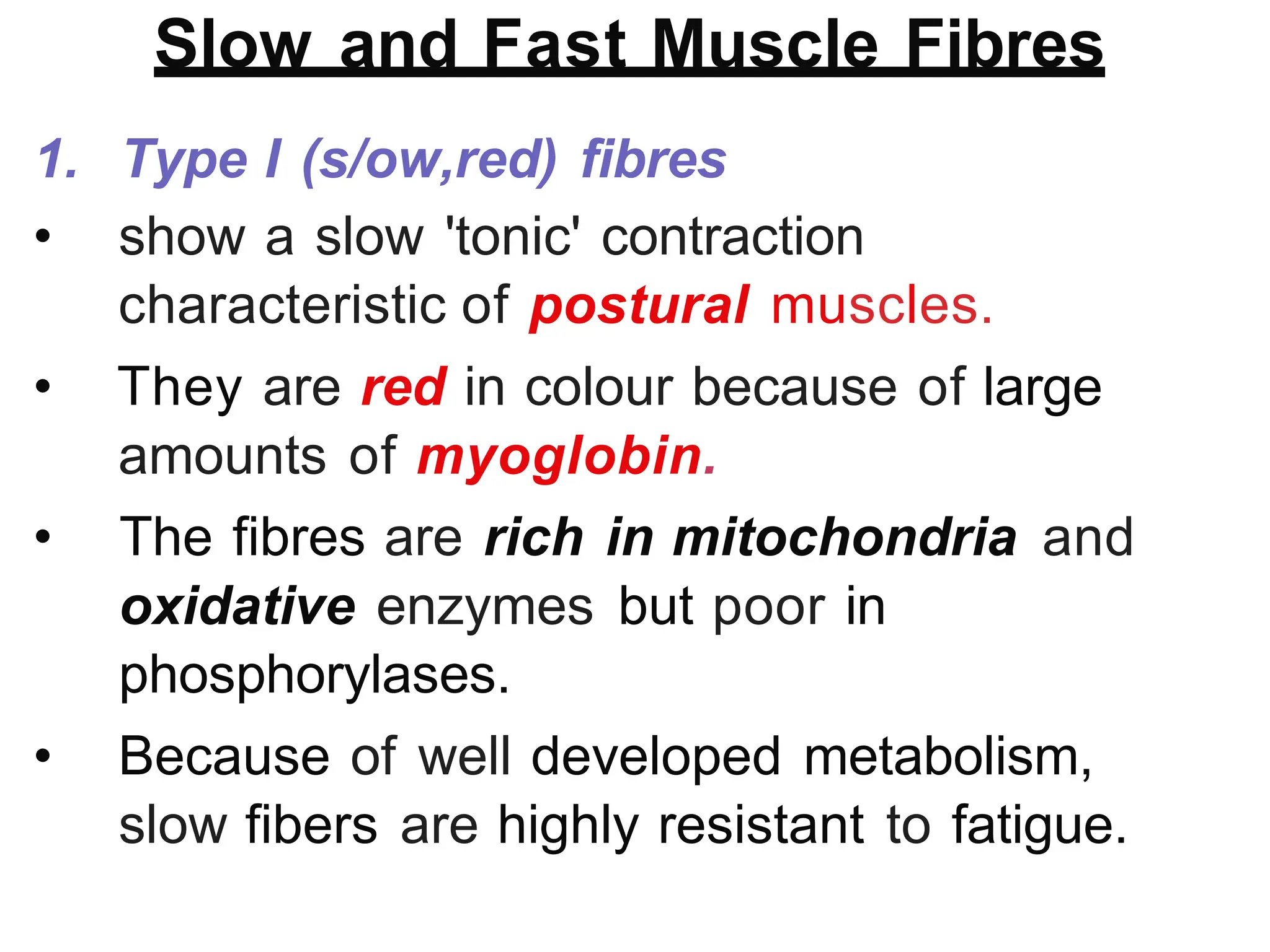 GENERAL ANATOMY OF MUSCLE DESCRIBE CLEARLY | PPTX