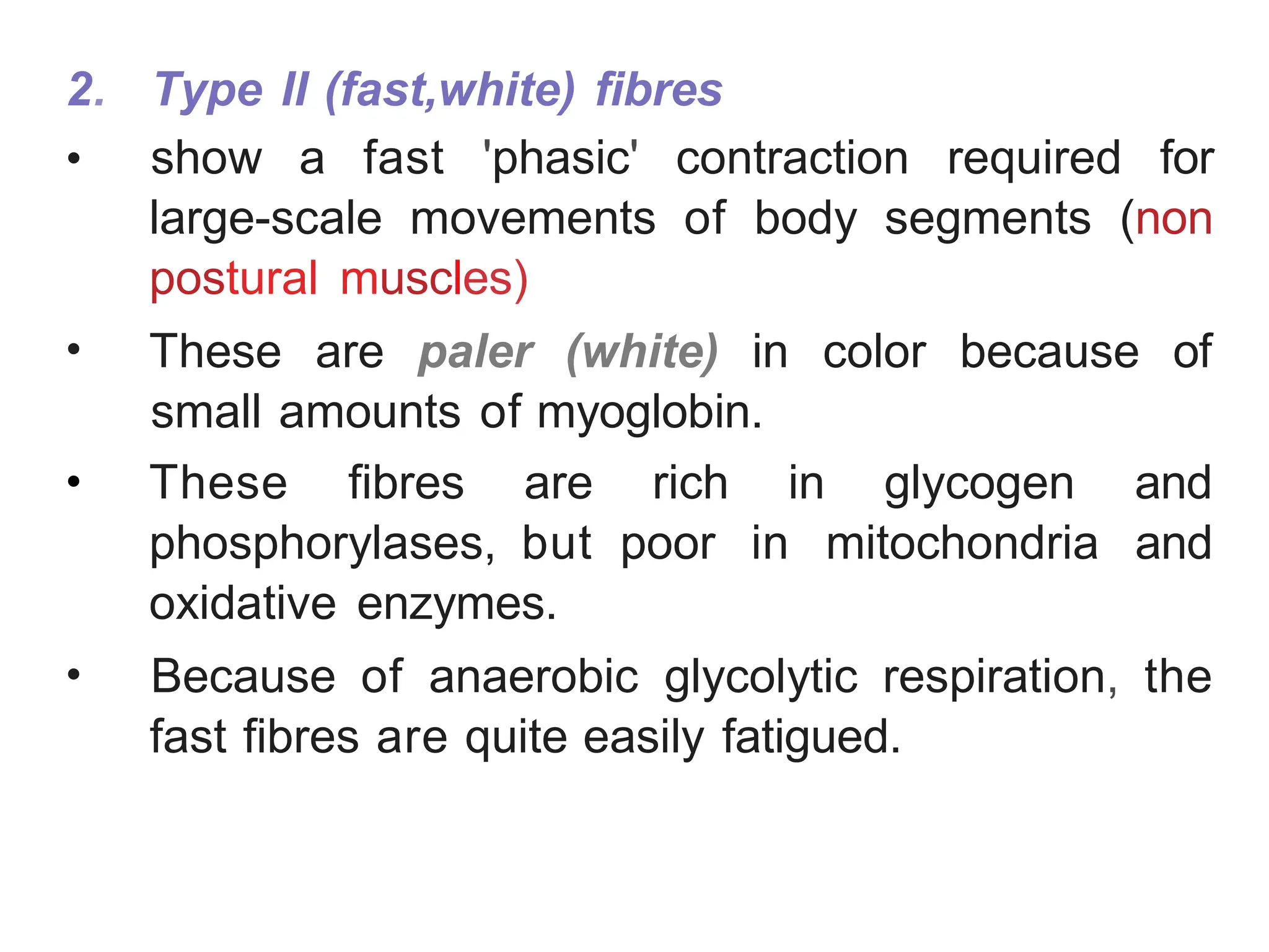 GENERAL ANATOMY OF MUSCLE DESCRIBE CLEARLY | PPTX