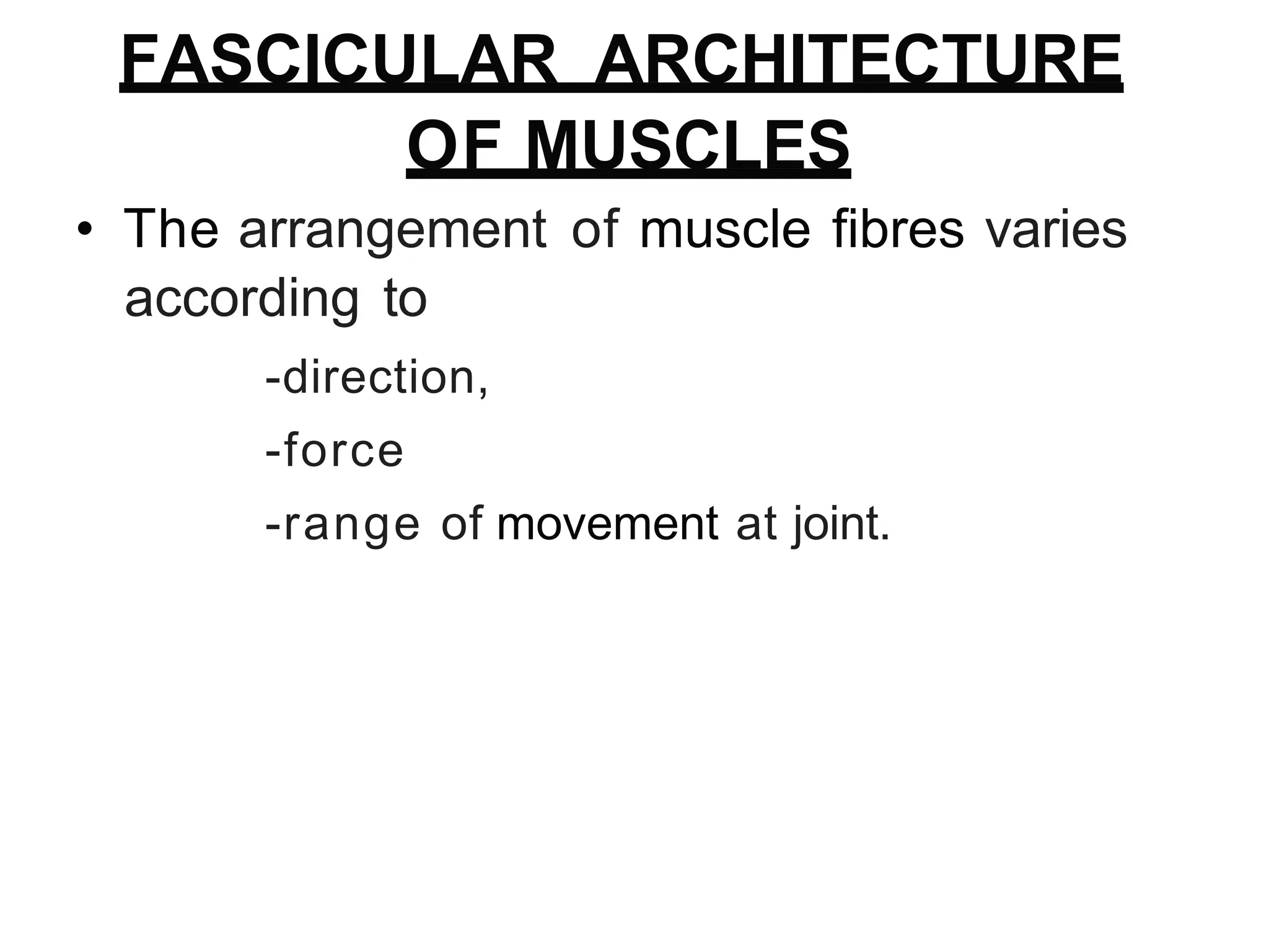 GENERAL ANATOMY OF MUSCLE DESCRIBE CLEARLY | PPTX