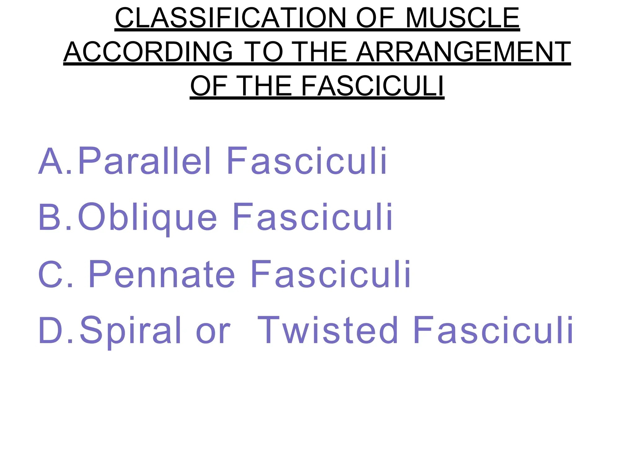 GENERAL ANATOMY OF MUSCLE DESCRIBE CLEARLY | PPTX