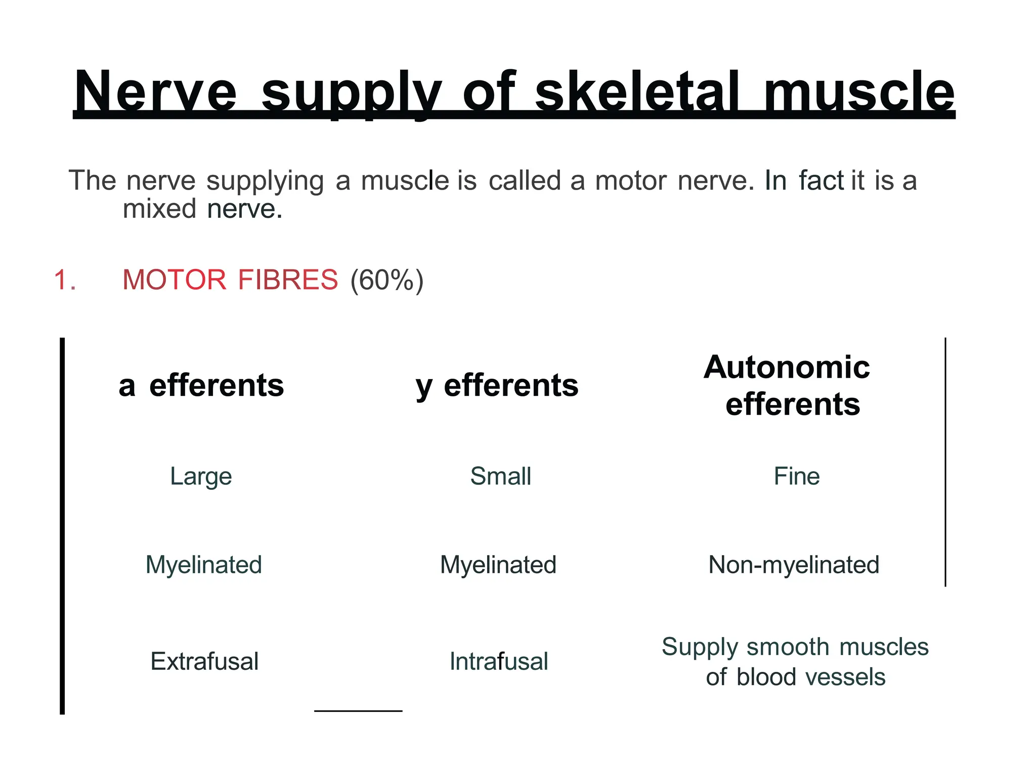 GENERAL ANATOMY OF MUSCLE DESCRIBE CLEARLY | PPTX