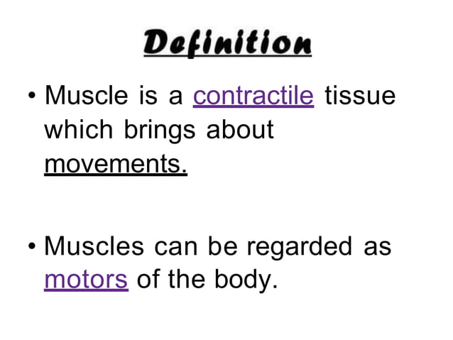 GENERAL ANATOMY OF MUSCLE DESCRIBE CLEARLY | PPT