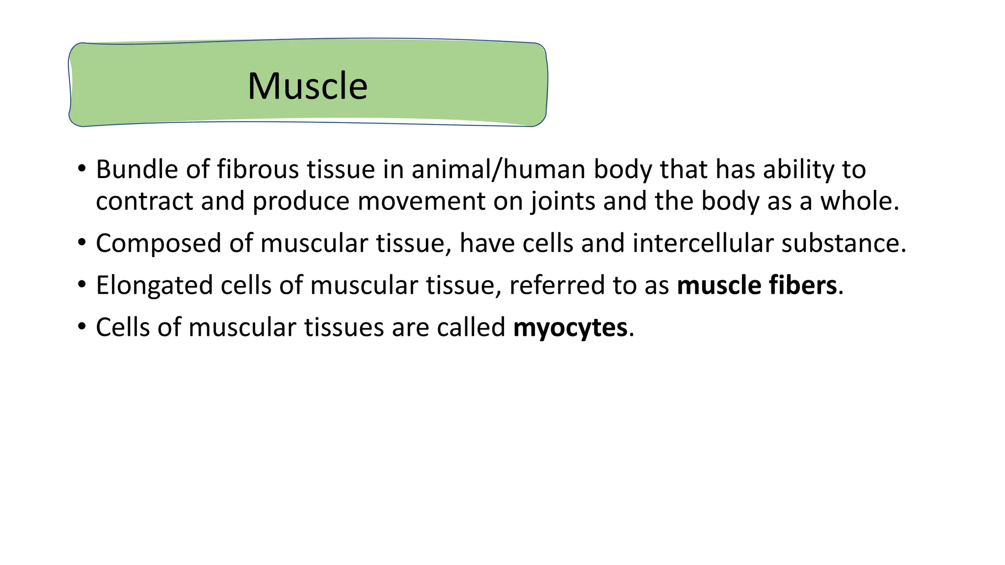 General Anatomy of Muscles and action.pptx