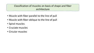 General Anatomy of Muscles and action.pptx