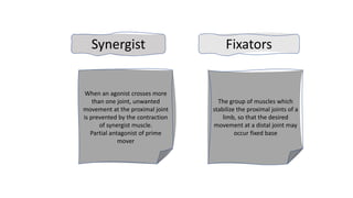 General Anatomy of Muscles and action.pptx