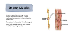 General Anatomy of Muscles and action.pptx
