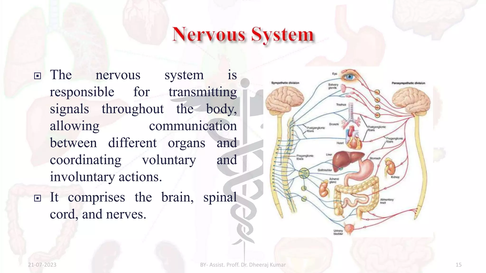 General Anatomy of Regions of the Body,.pptx
