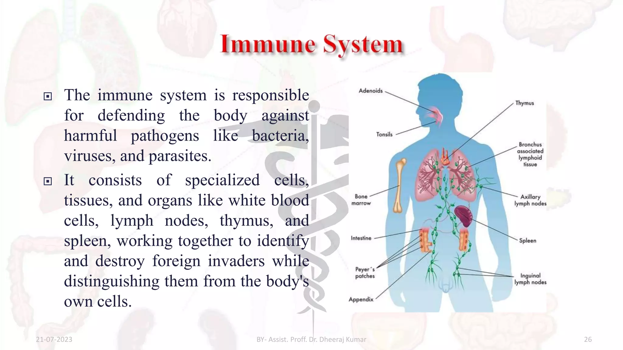 General Anatomy of Regions of the Body,.pptx | Lung and Respiratory ...