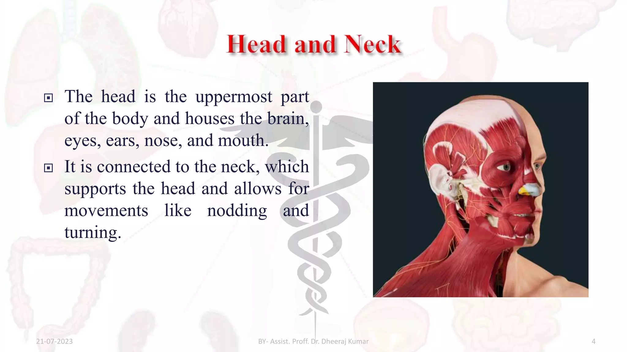 General Anatomy of Regions of the Body,.pptx