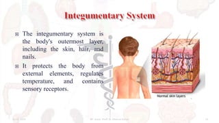 General Anatomy of Regions of the Body,.pptx