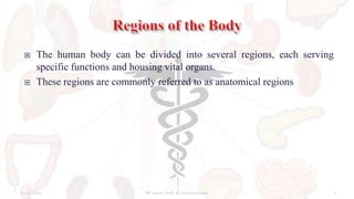 General Anatomy of Regions of the Body,.pptx