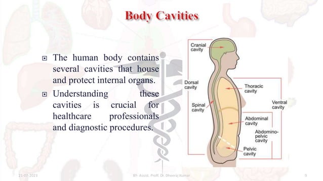 General Anatomy of Regions of the Body,.pptx | Lung and Respiratory ...