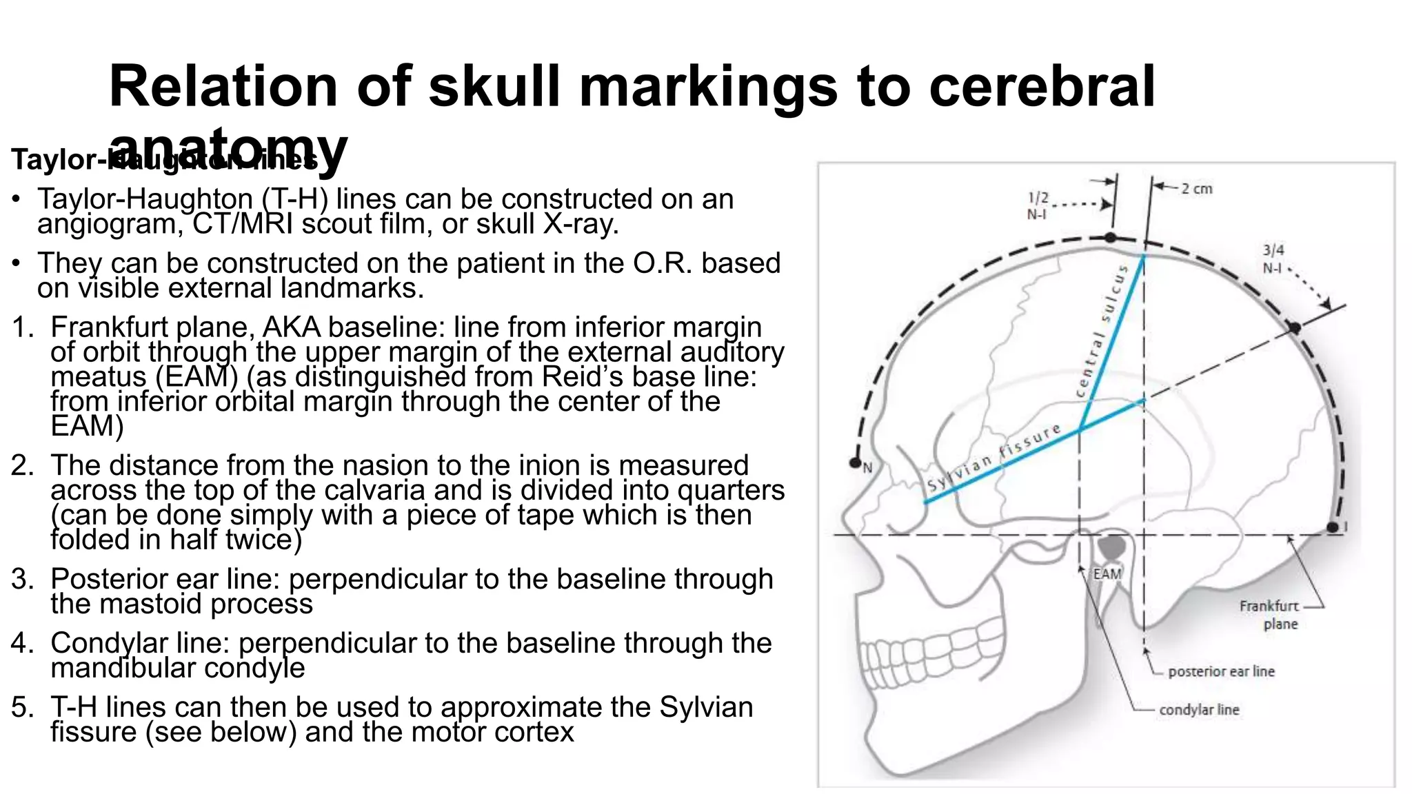 General Anatomy of the Skull and Central Nervous.pptx
