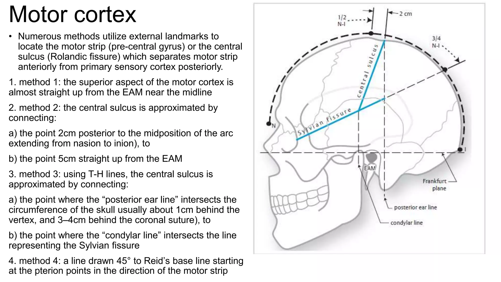 General Anatomy of the Skull and Central Nervous.pptx